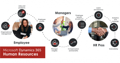 Dynamics 365 Human Resources | Reliable HR Solutions